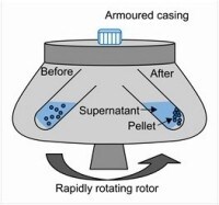 Centrifugation Theory